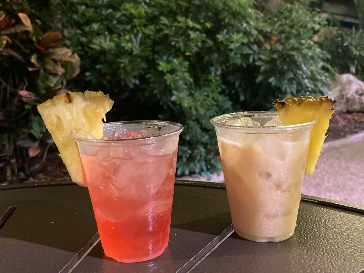 Busch Gardens Tampa To Open New Giraffe Bar - Coaster Nation