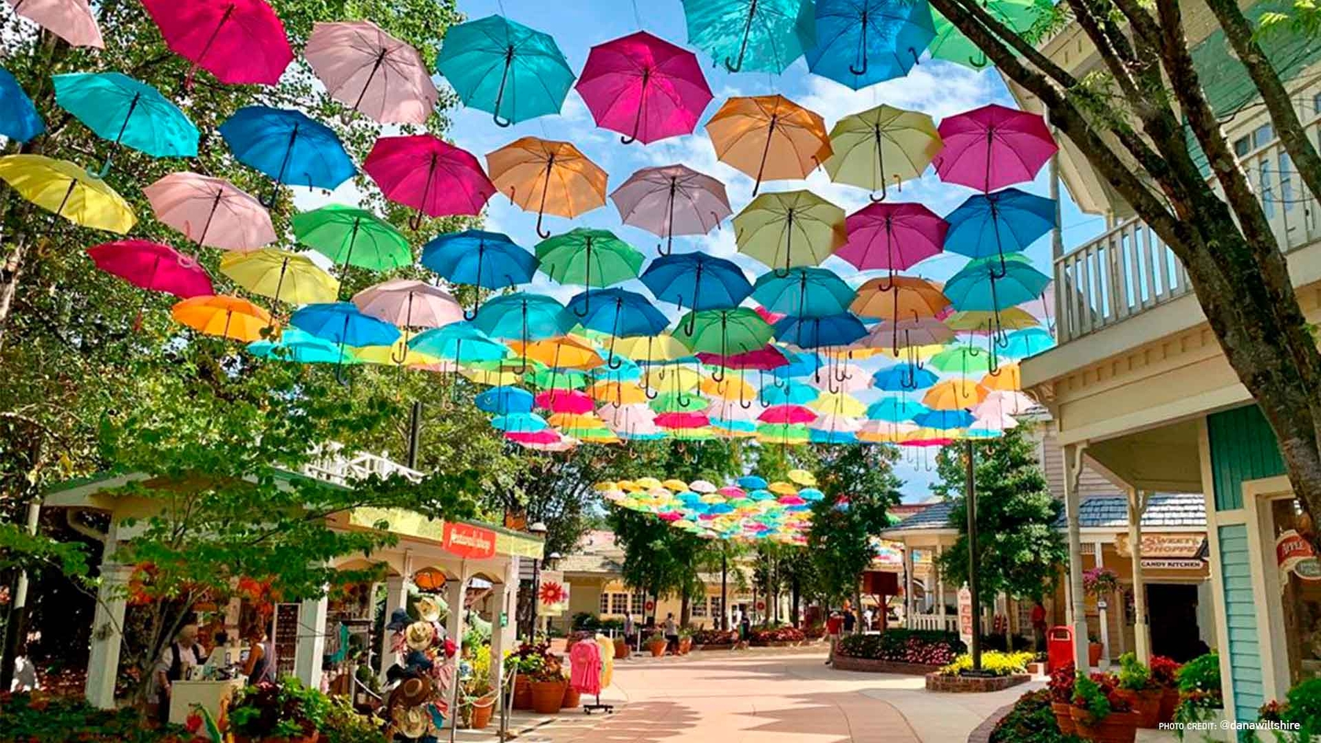 Dollywood Bursts into Spring with the Return of Its Flower & Food ...